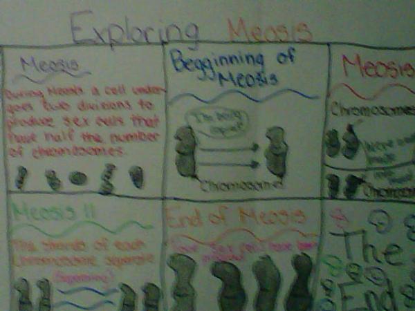 6th Grade Teacher Makes Science Fun with Cell Process Cartoons | Unlock ...